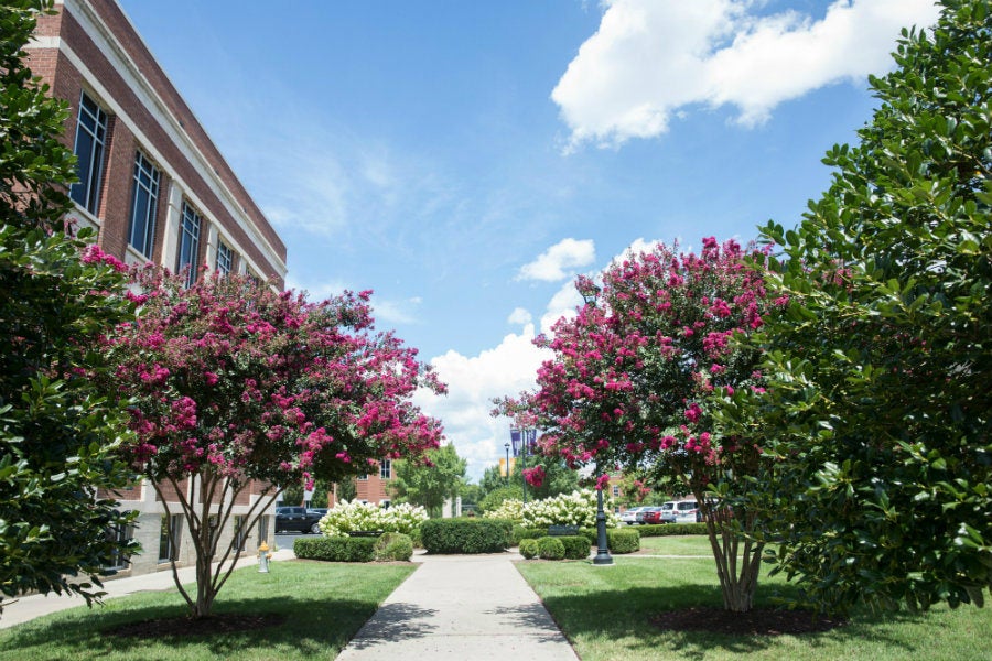 Celebrate the 50th anniversary of Earth Day with sustainable change ...