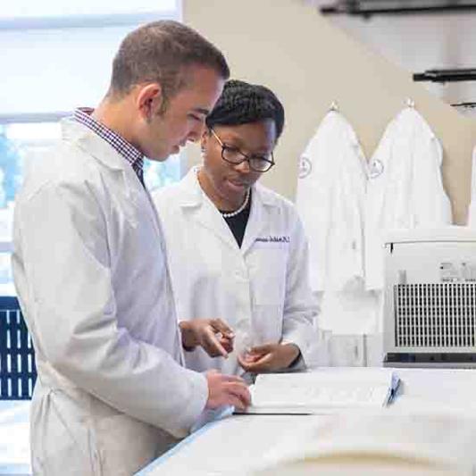 Undergraduate Studies | Lipscomb University